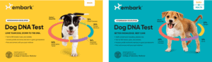 Embark review - 7 things you should know [SEPTEMBER 2022]