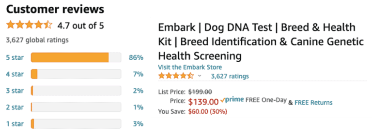 Embark review - 7 things you should know [JANUARY 2021]