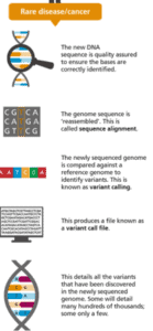 Whole Exome Sequencing - Are only protein-coding regions the best?