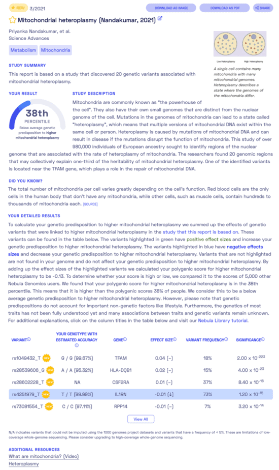 Is heteroplasmy genetic? | Decode your DNA and learn about your risks!