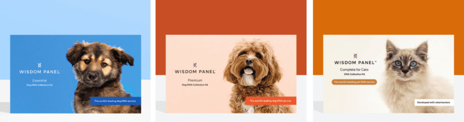 Wisdom Panel review - 7 facts you should know [JULY 2022]