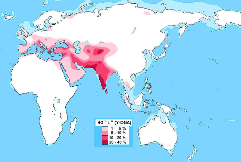 Mapmygenome review - 7 facts you should know [FEBRUARY 2022]