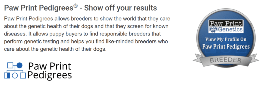 Paw Print Genetics review - 7 facts you should know [JULY 2022]